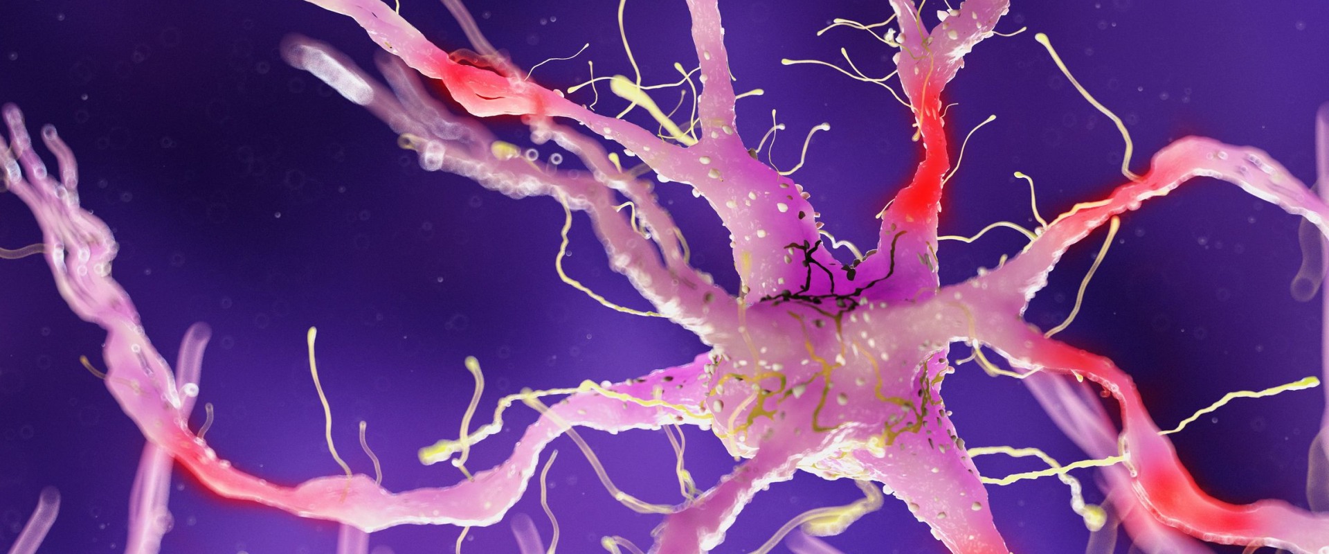 How do you prove you have nerve damage?